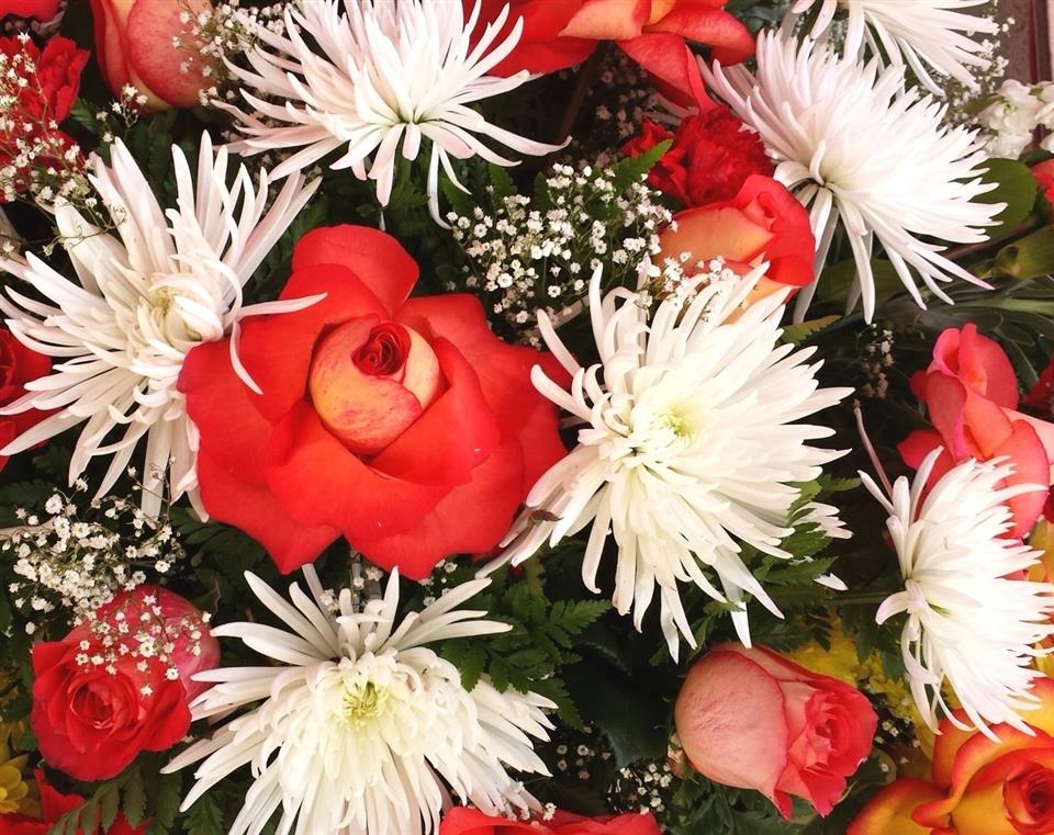 Ellie Mae Florists Benfleet - Order Online or 01268 569439